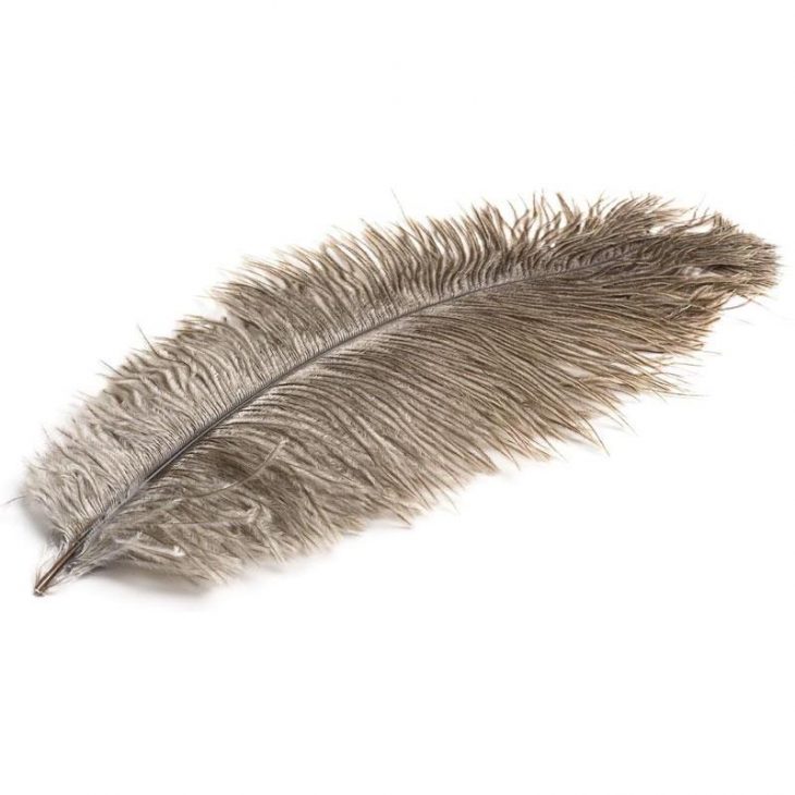 Plume d'autruche Naturel - Pechemouchefly